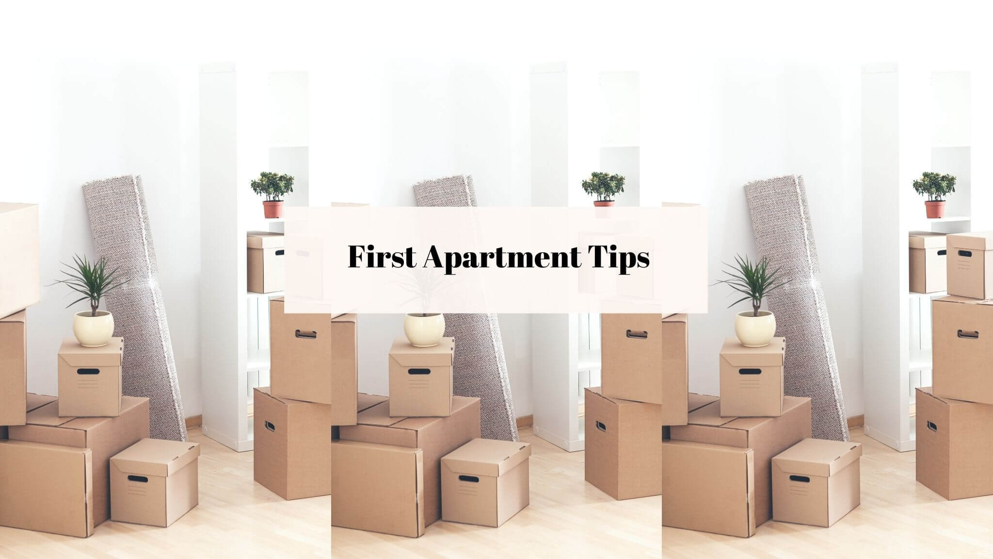The 6 Crucial First Apartment Tips You Need To Know