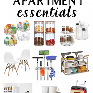 15 Small Studio Apartment Ideas For Guys (Perfect For A 300 Sq Ft Space)