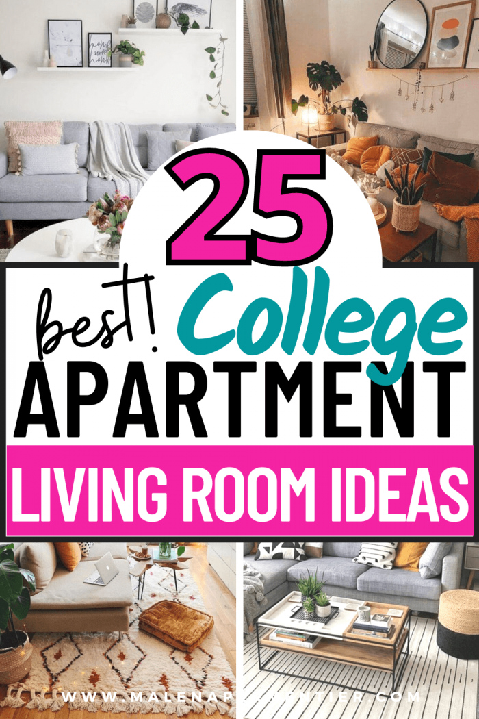 24 Best College Apartment Living Room Ideas On A Budget