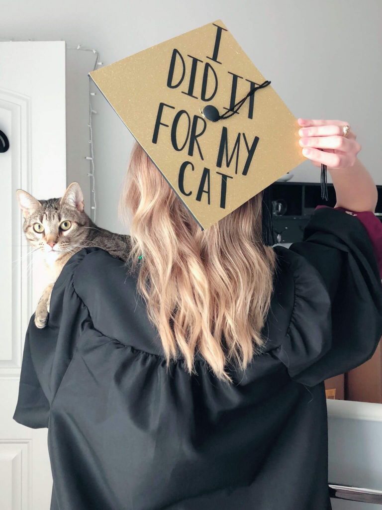 24 Cute & Funny Graduation Cap Ideas That Are Easy to Recreate in 2024